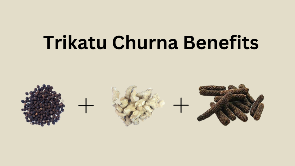 Trikatu Churna - A Spice for Better Health | Amrut Pushp